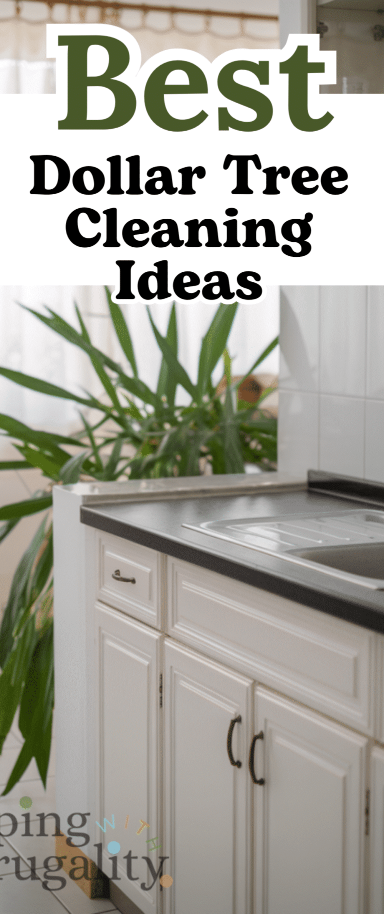 18 Dollar Tree Cleaning Ideas on a Budget You Need to Try - Coping With ...